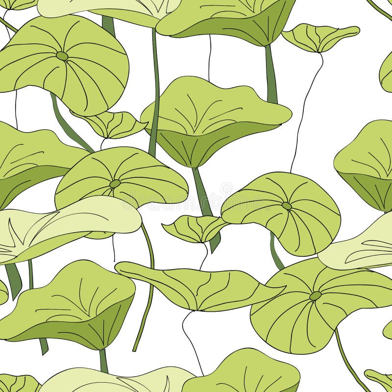 Lilypad Texture Stock Illustrations – 22 Lilypad Texture Stock ...