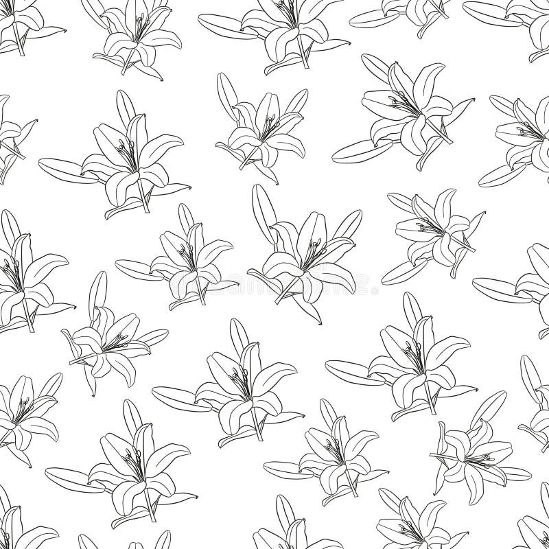 Lily pattern stock illustration. Illustration of blossom - 277583339