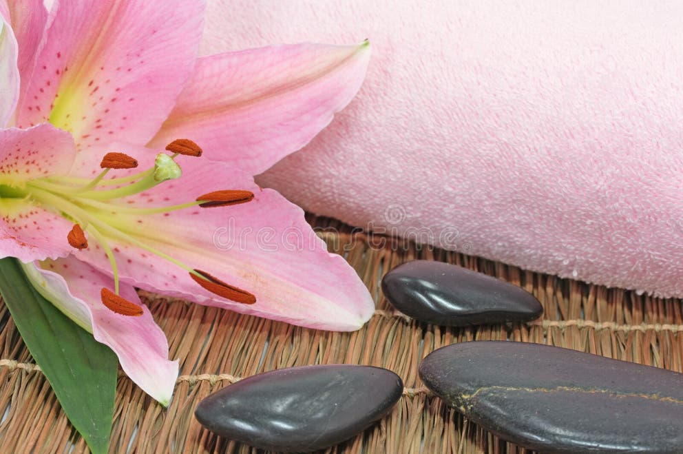 Lily spa stock photo. Image of apothecary, luxury, nature - 3161744