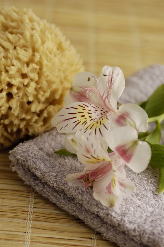 Lily Spa stock image. Image of herbs, massage, beautyfarm - 541889