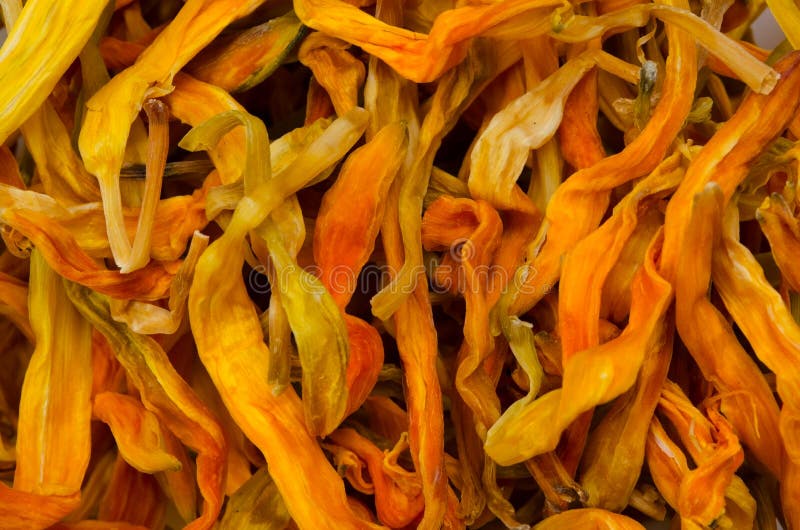 Lily tea stock image. Image of diet, fresh, cook, eating - 24976057