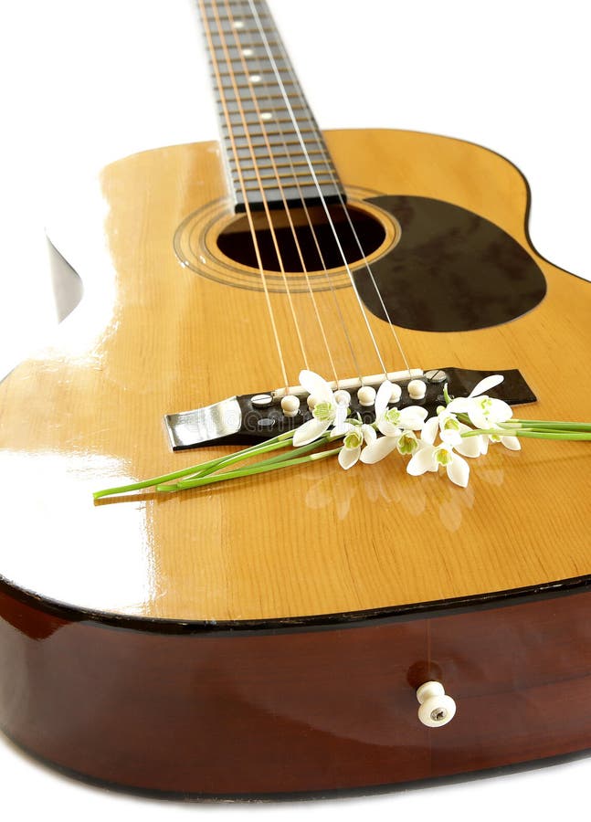 Lily of the Valley on Guitar Strings Stock Photo - Image of garden ...