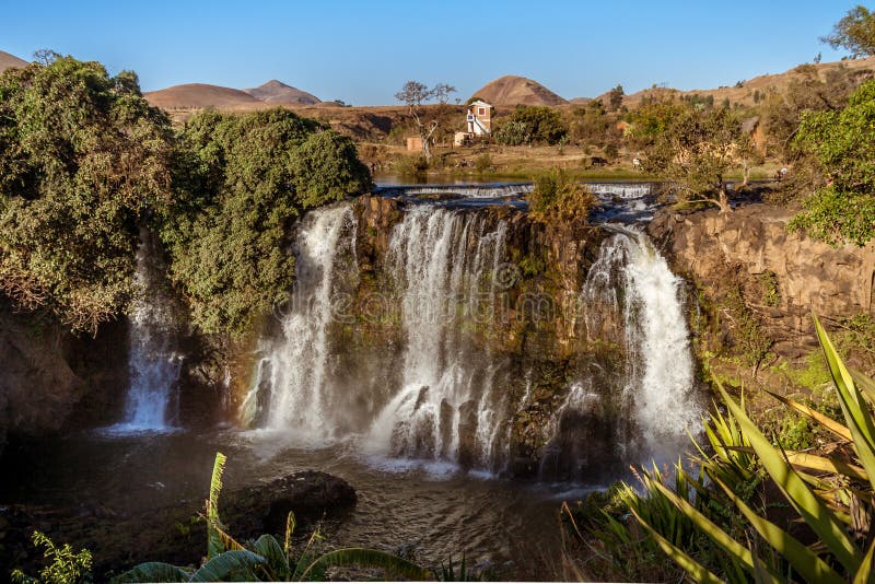 Lily waterfall stock image. Image of exotic, highlands - 24383631