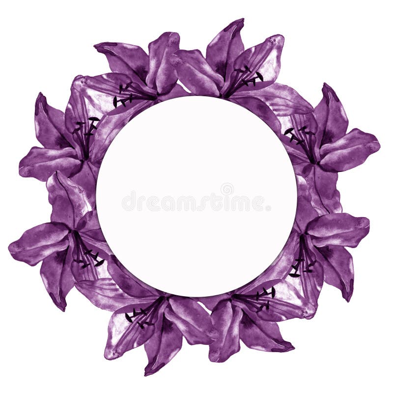 Lily Frame Stock Illustrations – 20,440 Lily Frame Stock Illustrations ...