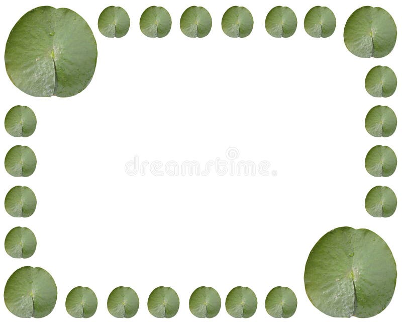 Lilypads stock image. Image of border, background, lilypad - 793249