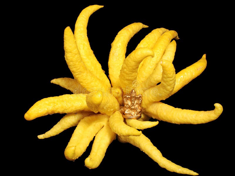 Limón Y Buddha De La Mano De Buddha Foto de archivo - Imagen de amargo ...