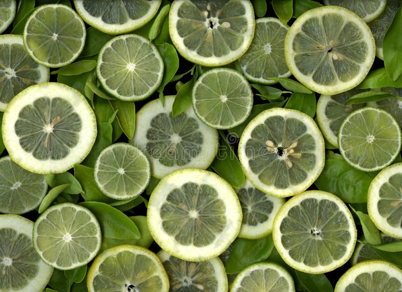 Limón y cal imagen de archivo. Imagen de hojas, acentos - 9914149