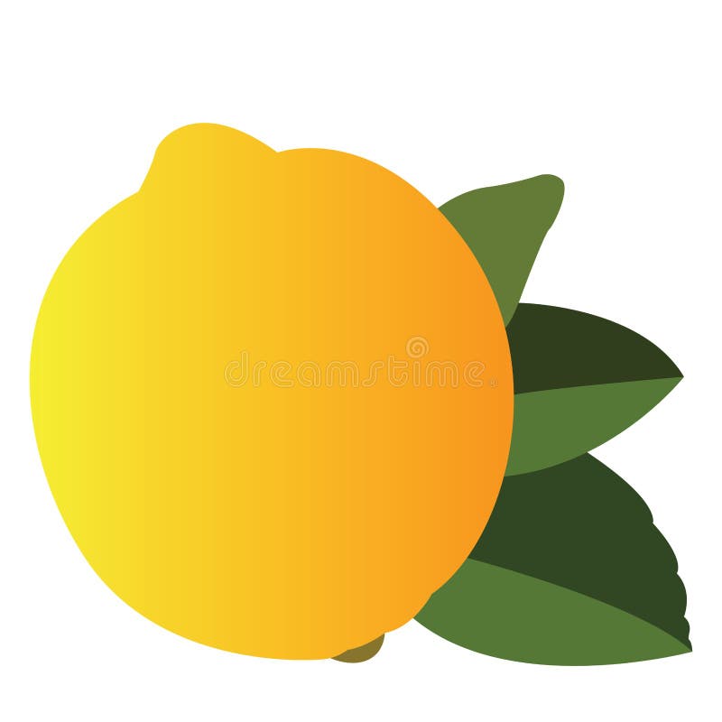 Lima aislada stock de ilustración. Ilustración de tropical - 81940353