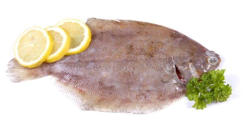Pesci della limanda immagine stock. Immagine di intero - 34829127