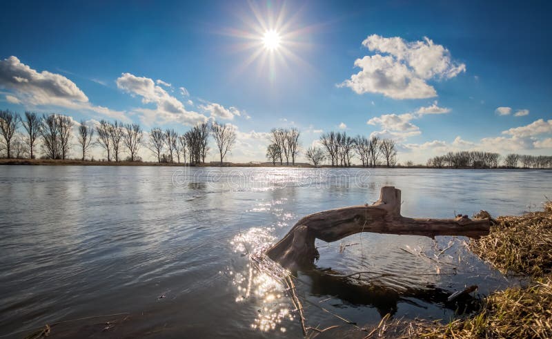 Limb in the river stock photo. Image of flowing, sunny - 38138776