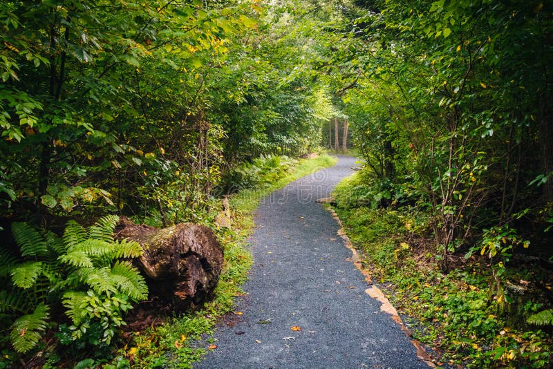 The Limberlost Trail, in Shenandoah National Park, Virginia. Stock ...