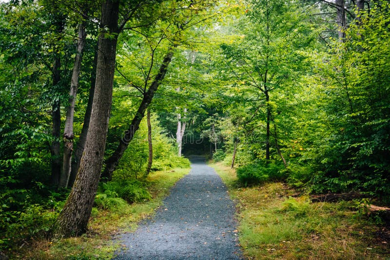 The Limberlost Trail, in Shenandoah National Park, Virginia. Stock ...