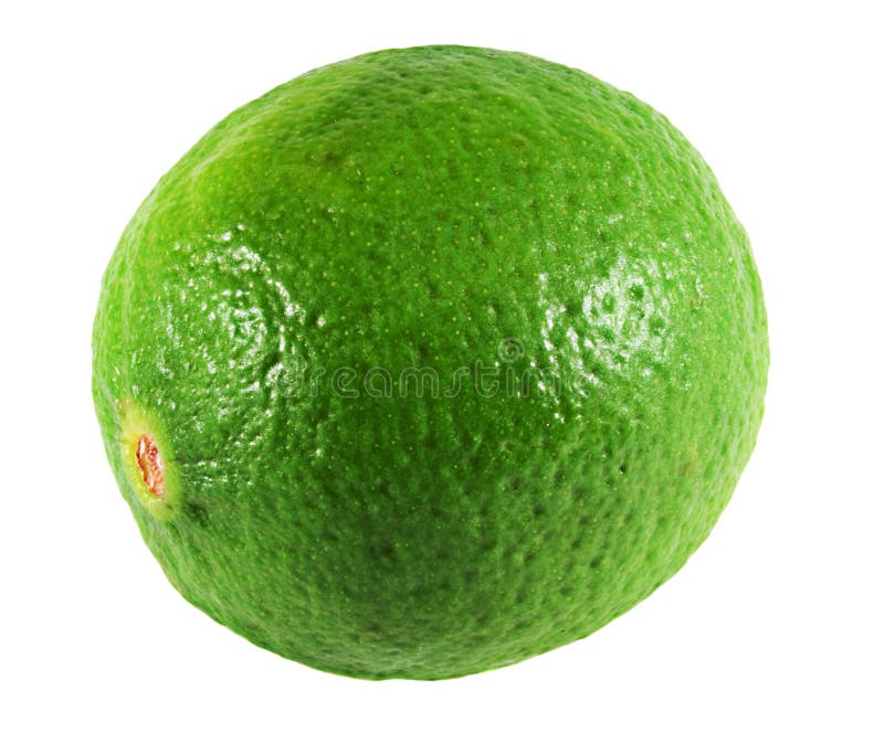 Lime stock photo. Image of white, healthy, lime, food - 16570056