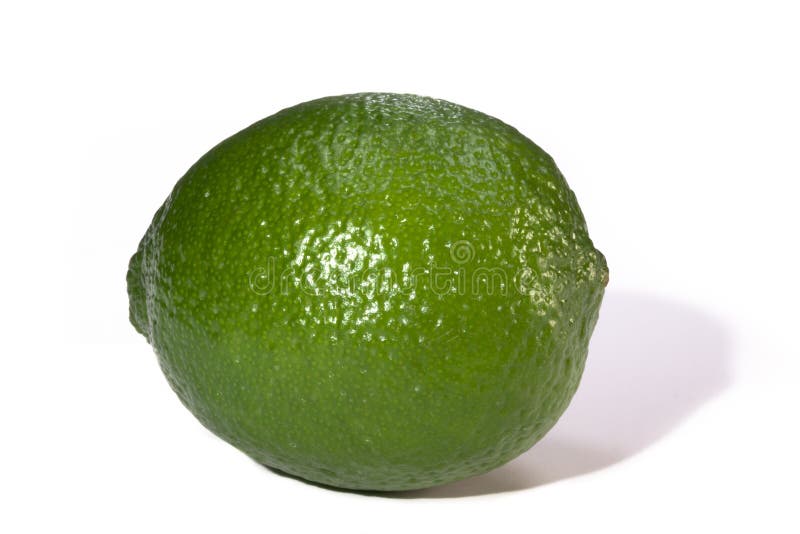 Lime stock photo. Image of sour, juice, peel, lime, rind - 19002056