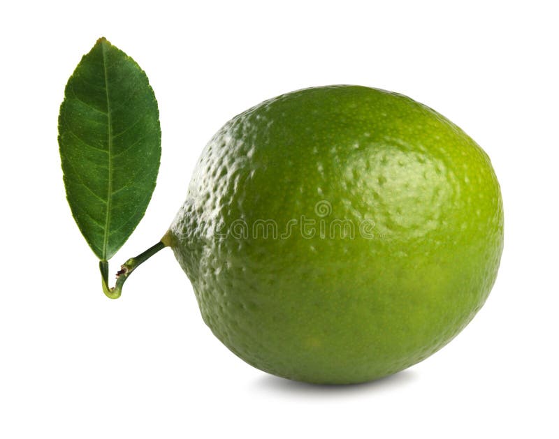 Lime stock image. Image of nutrition, lime, healthy, produce - 1752405