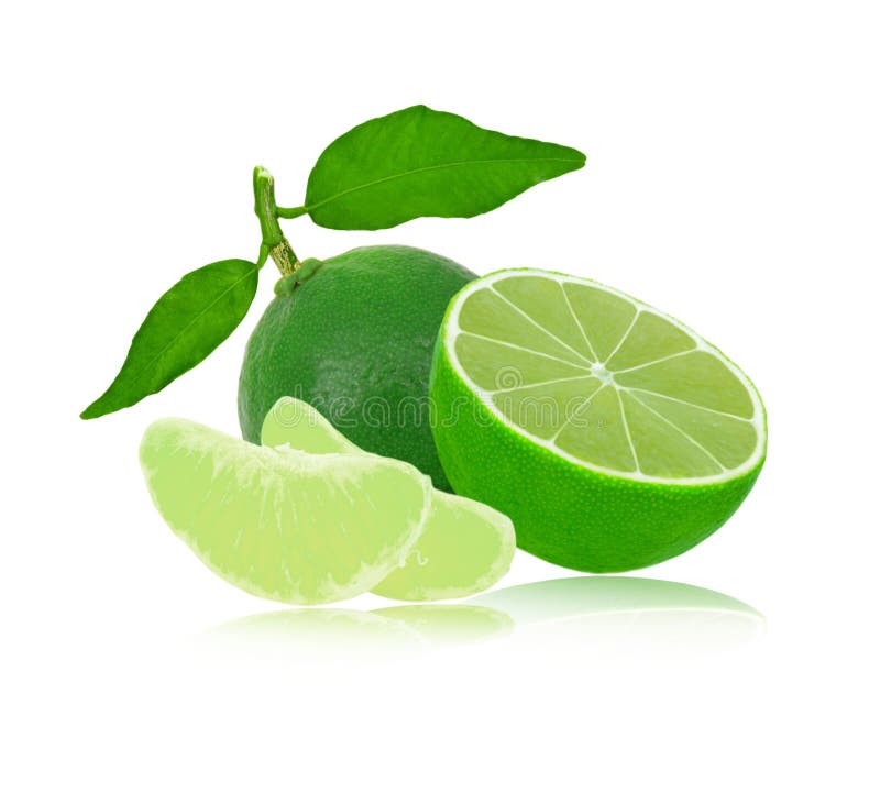 Lime stock photo. Image of refreshment, healthy, nature - 25681516