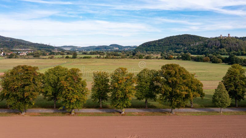 Lime Alley at Herleshausen in Hesse Stock Photo - Image of green, hesse ...