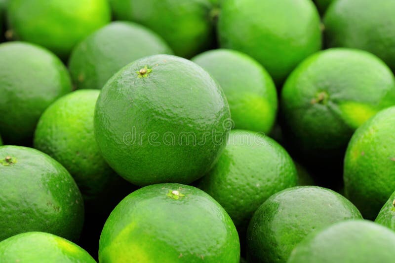 Lime citrus fruit stock photo. Image of food, eating - 27317302