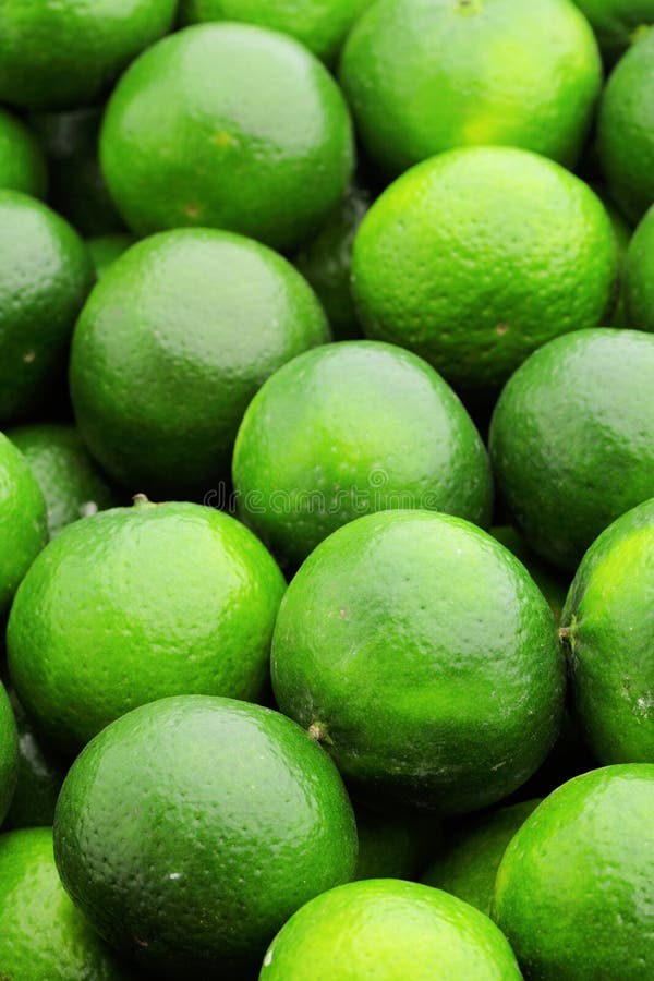 Lime citrus fruit stock photo. Image of fruit, healthy - 28440682