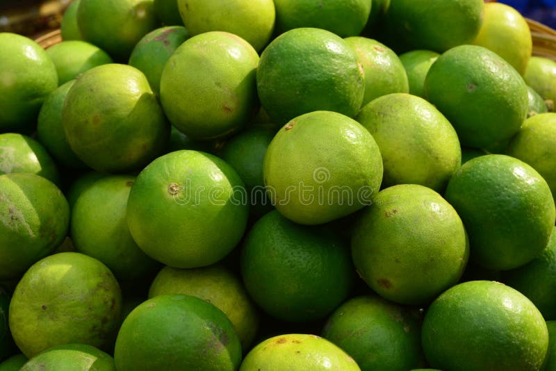 Lime Citrus Fruits stock image. Image of green, lemon - 99436149