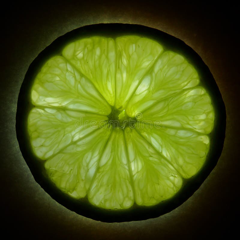 Citrus slice frame stock photo. Image of nutritional, citrus - 2206328