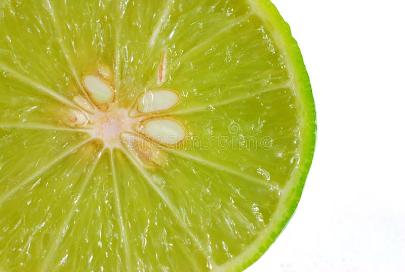 Lime Closeup stock photo. Image of sour, lime, macro, tropical - 5778952