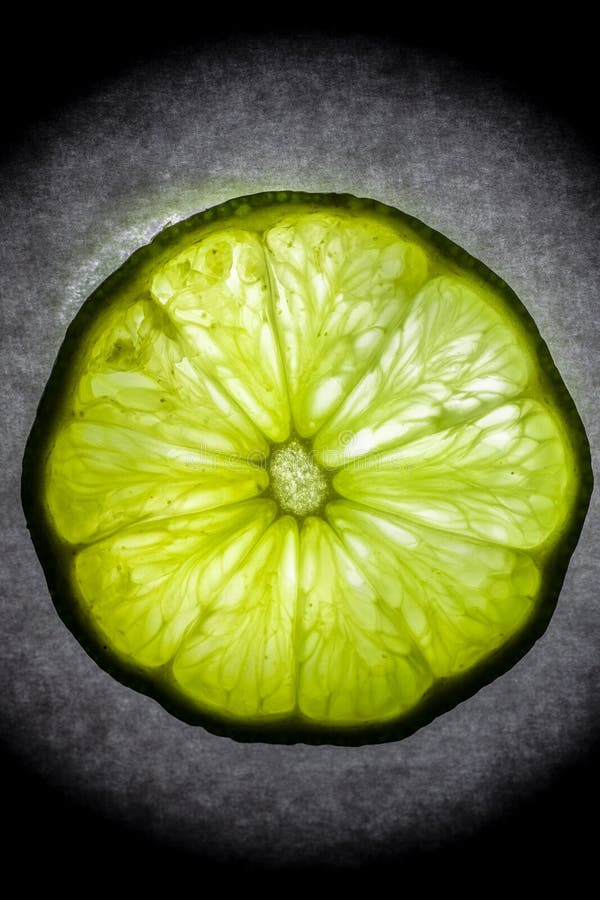 4,822 Lime Cross Section Stock Photos - Free & Royalty-Free Stock ...