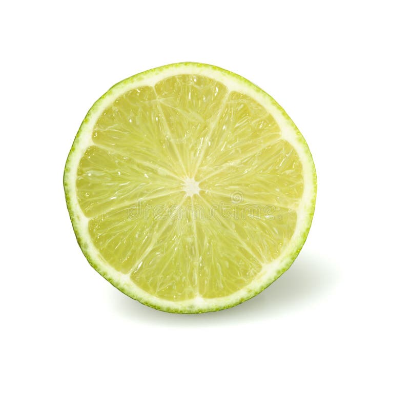 Lime Cross-section Isolated with Clipping Path Stock Photo - Image of ...