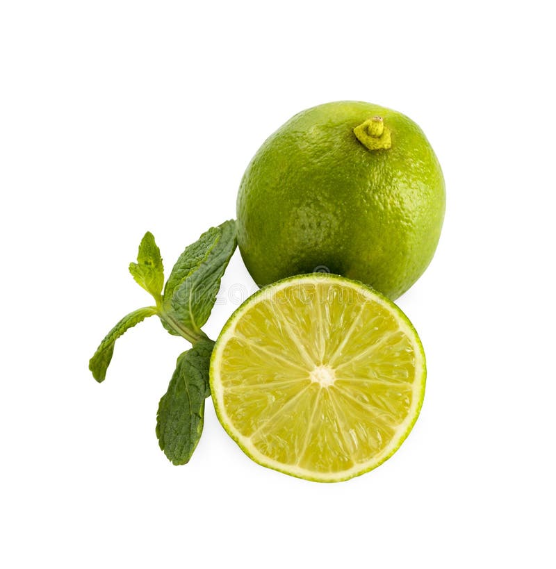 Lime and cucumber stock photo. Image of length, food - 45600276