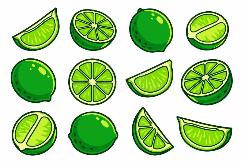 Lime Draw Illustrations Citrus Lime Doodle Stock Vector - Illustration ...