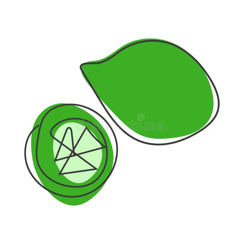 Lime Drawn in One Line with Abstract Green Spots. Citrus Vector ...