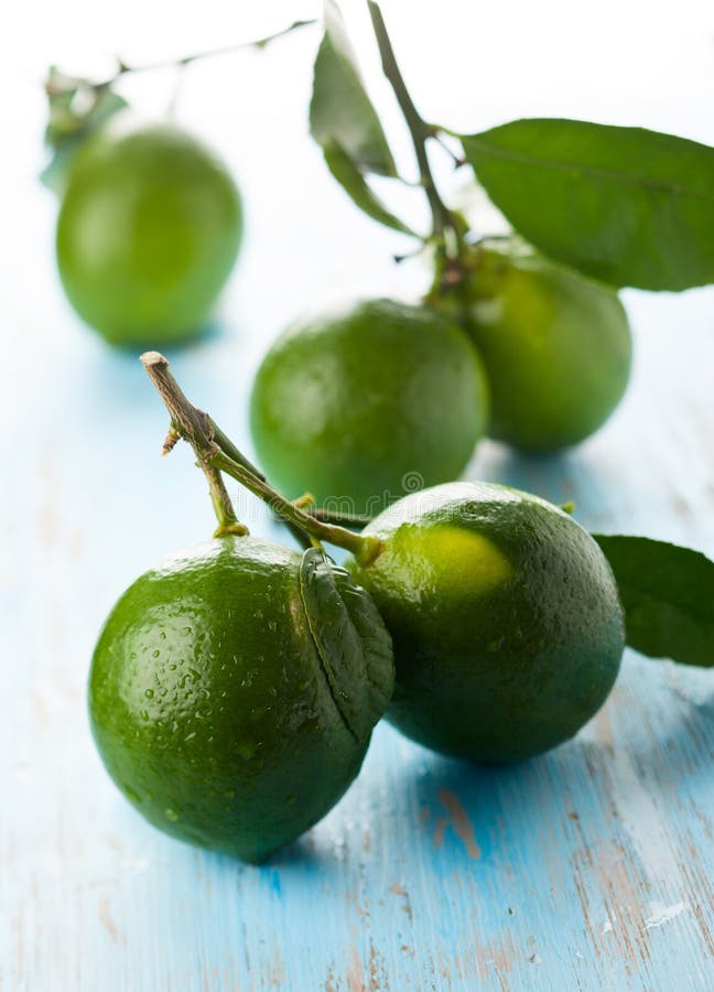 Lime stock photo. Image of green, ripe, refreshment, nature - 34359166