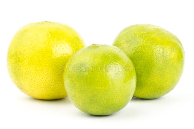 Lime stock image. Image of tropical, edible, detail, fresh - 48730367