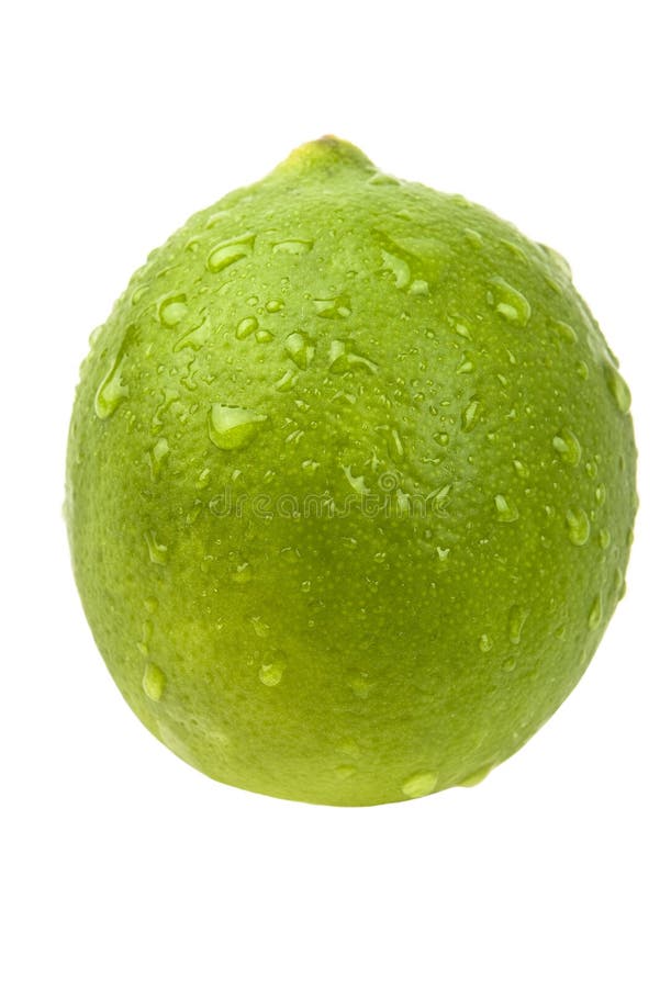 Lime Fruit stock photo. Image of tasty, water, perfect - 6224430