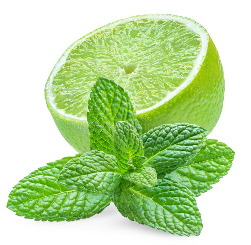 Lime Fruit with Mint Leaf Isolated on White Background. Lime Citrus ...