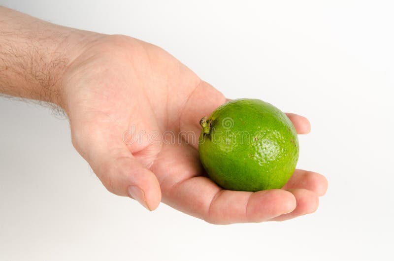 Lime fruit stock photo. Image of lime, healthy, tropical - 57669692