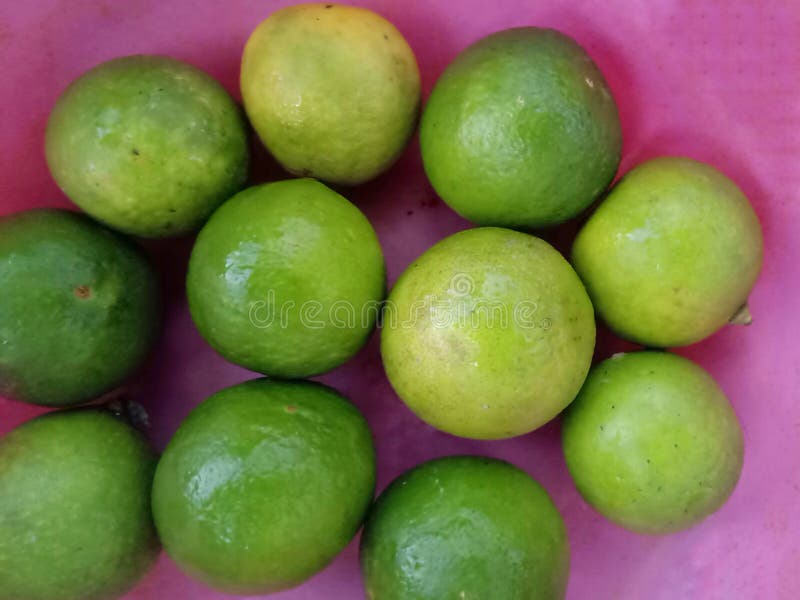 Lime Fruit in Pink Container Stock Photo - Image of food, yellow: 229391570
