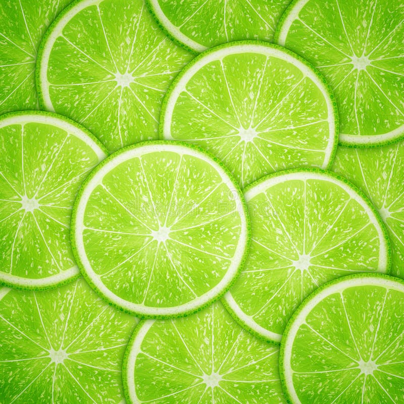 Lime Fruit Slices Background Stock Vector - Illustration of piece ... Lime Fruit Slices Background Stock Vector - Illustration of piece ...