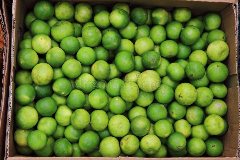 Lime fruit texture stock photo. Image of healthy, greenery - 100551114