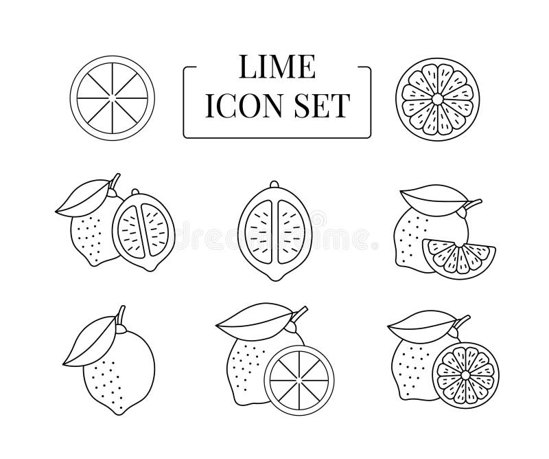 Lime Fruit Whole and Half, Cut into Slices, Set of Line Icons in Vector ...