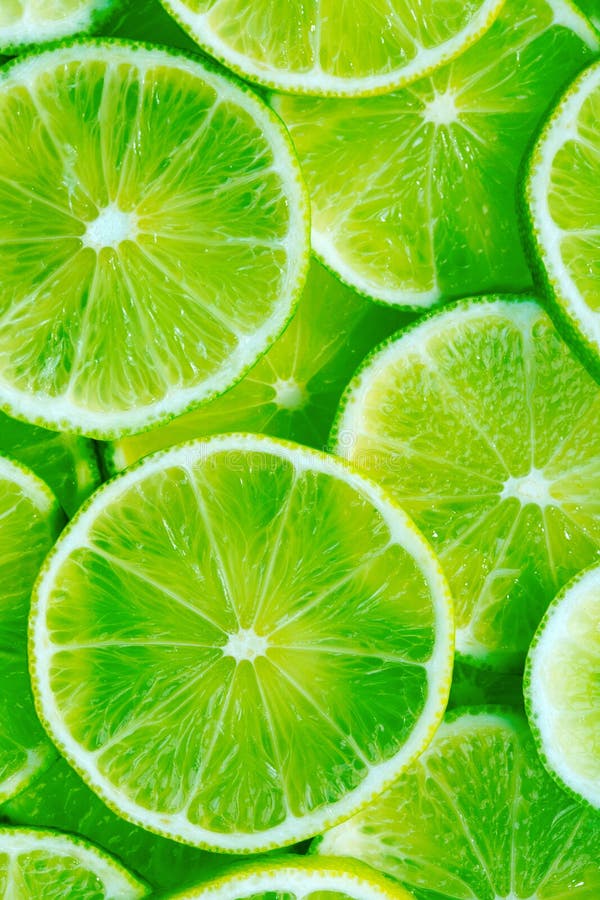 Lime fruits stock photo. Image of vertical, organic, life - 16532464