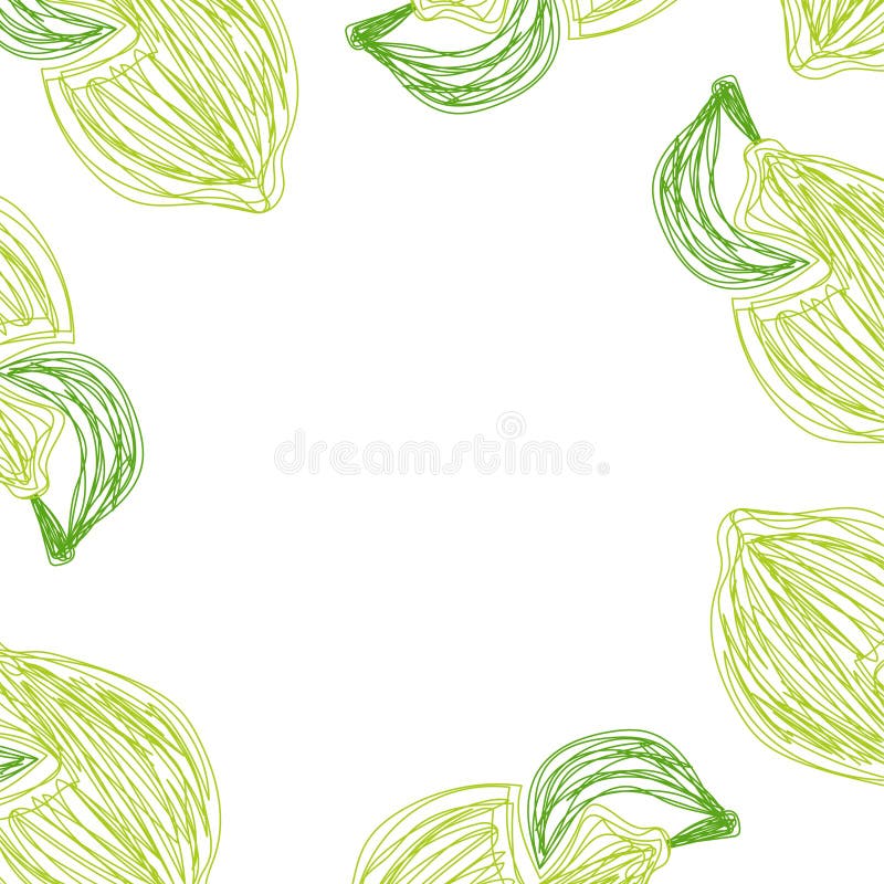 Lime Fruits Frame. Vector Hand Drawn Design Print Stock Vector ...