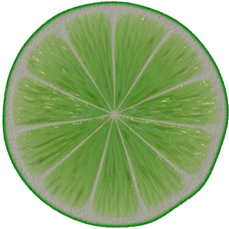 Lime Segment Stock Illustrations – 3,669 Lime Segment Stock ...