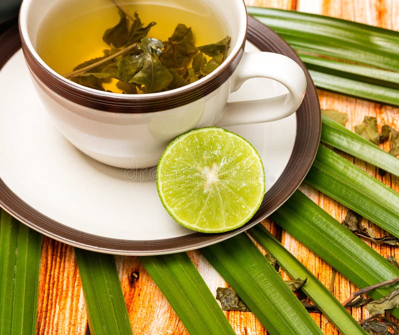 Lime Green Tea Shows Fruits Beverage and Refreshment Stock Image ...