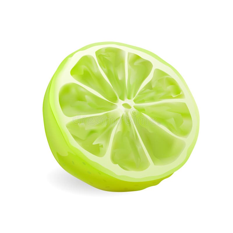 Lime and a half stock illustration. Illustration of lemon - 13020779