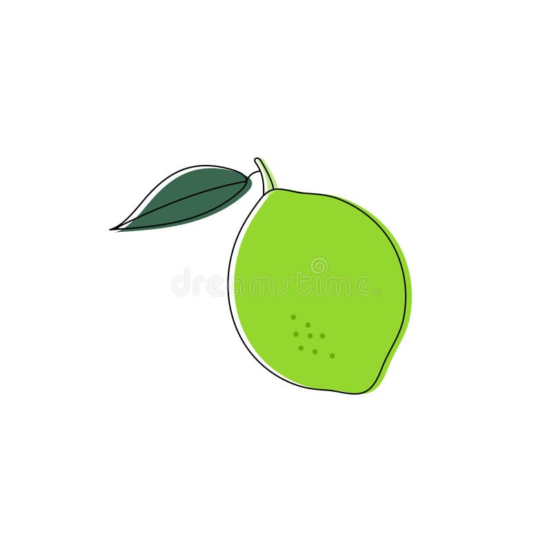Lime Hand Drawn. Abstract Shape Fruit Inspiration. Vector Illustration ...