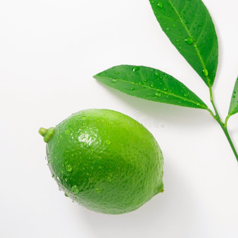 Lime Has Water Drop with Leaf Isolated on White Paper Texture Stock ...