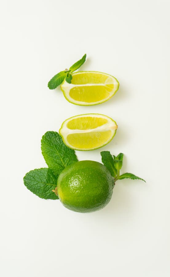 Lime Isolated. Lime Slice with Mint Leaves Isolate on White Stock Photo ...