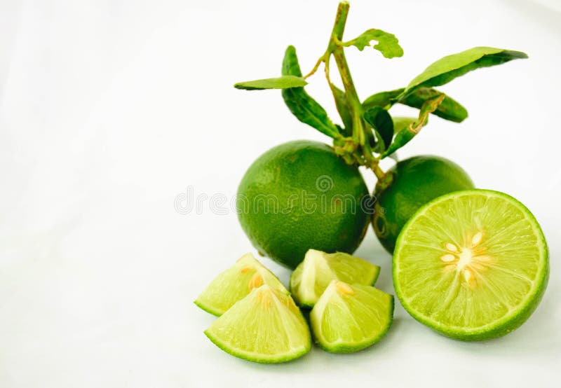 Lime stock image. Image of ripe, leaf, focus, limes, healthy - 64146019