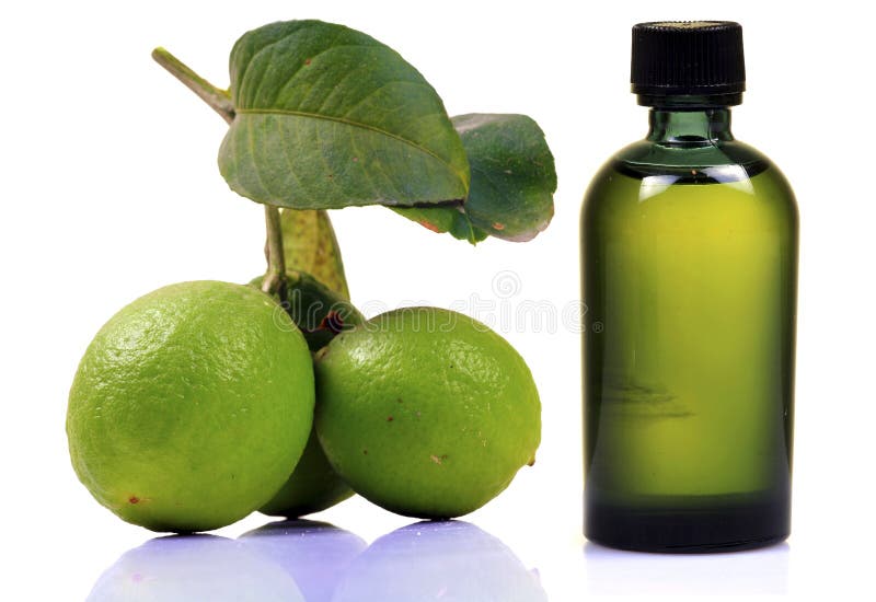 Lime and juice bottle stock image. Image of fruit, green - 19502381